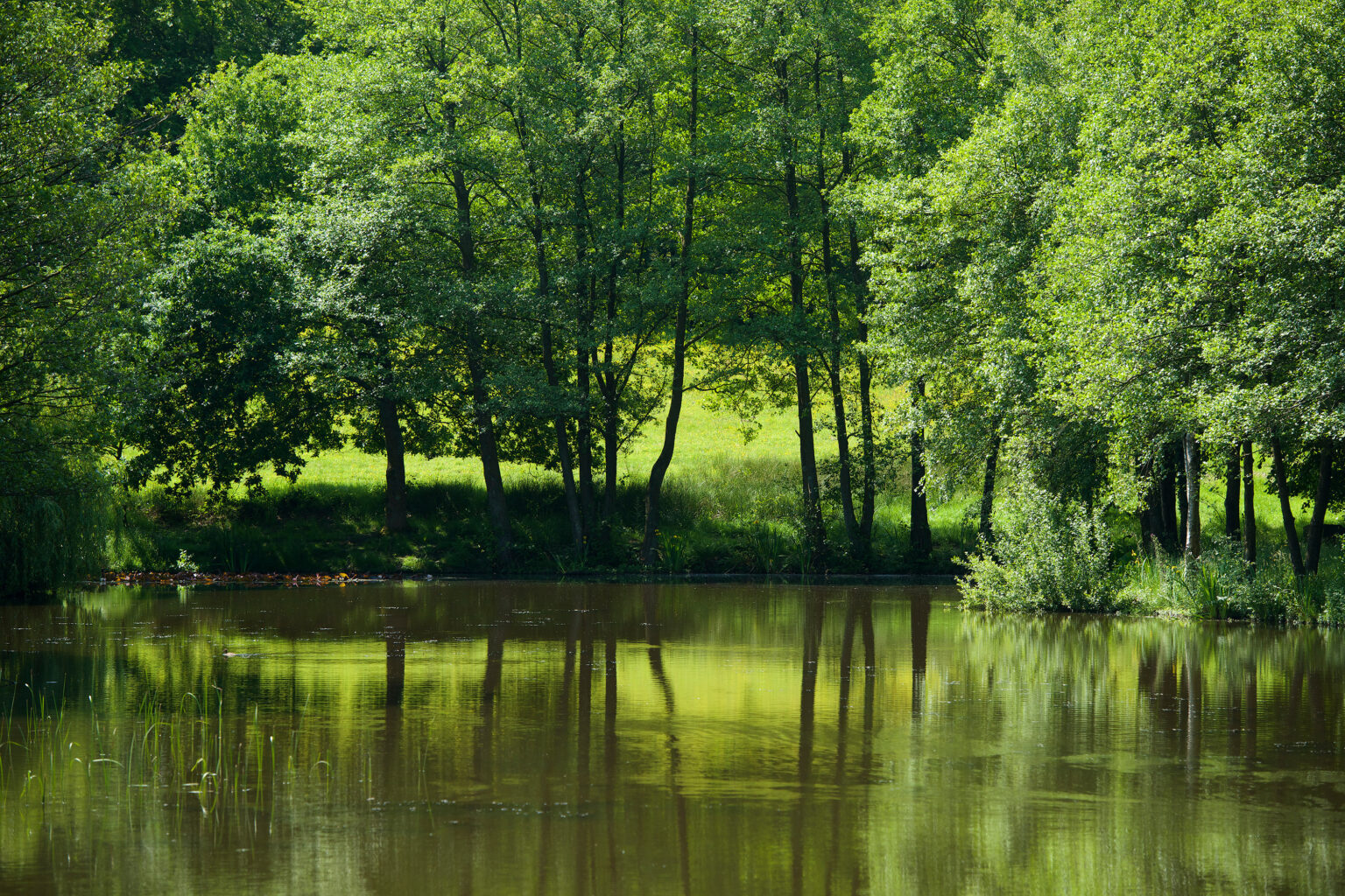 BakerBrown – Little England Farm, Hadlow Down, East Sussex